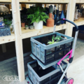Pink Clax Office Bundle Clax Cart